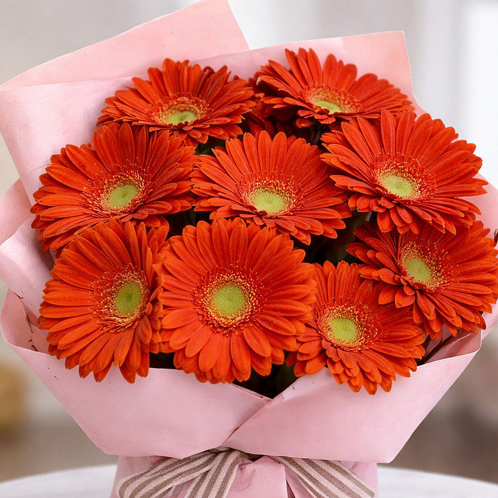 Gerberas Aniversario en México, México | Florerias México | Flores a Mexico