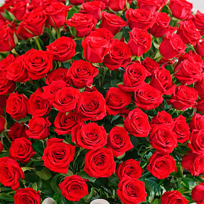 Famoso Ramo Buchón en México, México | Florerias México | Flores a Mexico